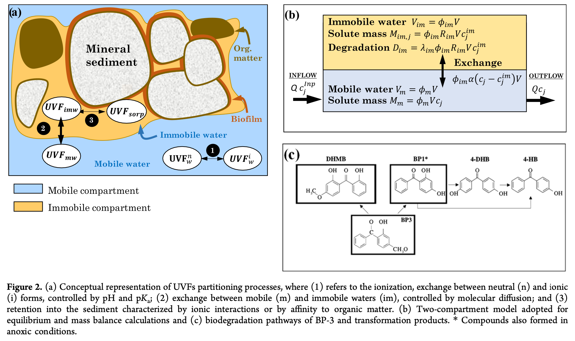 Assessing the Fate of Benzophenone-Type UV Filters andTransformation P ...