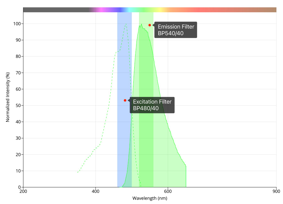 BCECF (pH 5.2) Filter Set – SyronOptics