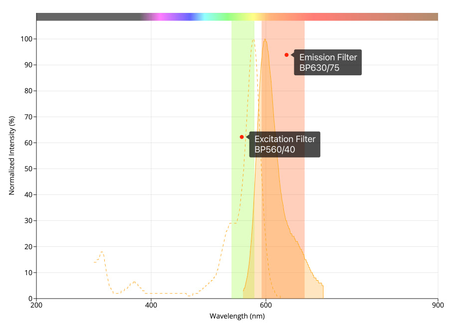 CY5 Filtersatz – SyronOptics
