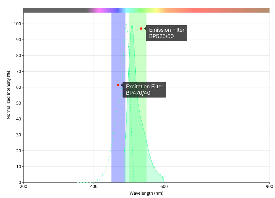 mWasabi Filter Set – SyronOptics