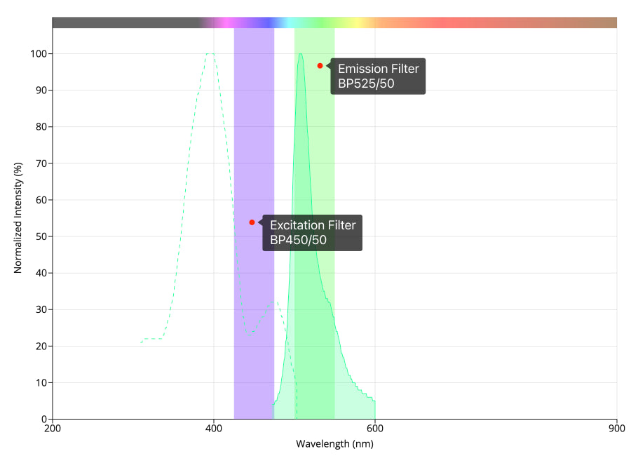 wtGFP Filter Set – SyronOptics